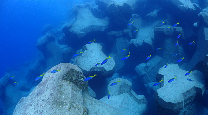 Blocks & Environment Business／Fudo Tetra Corporation